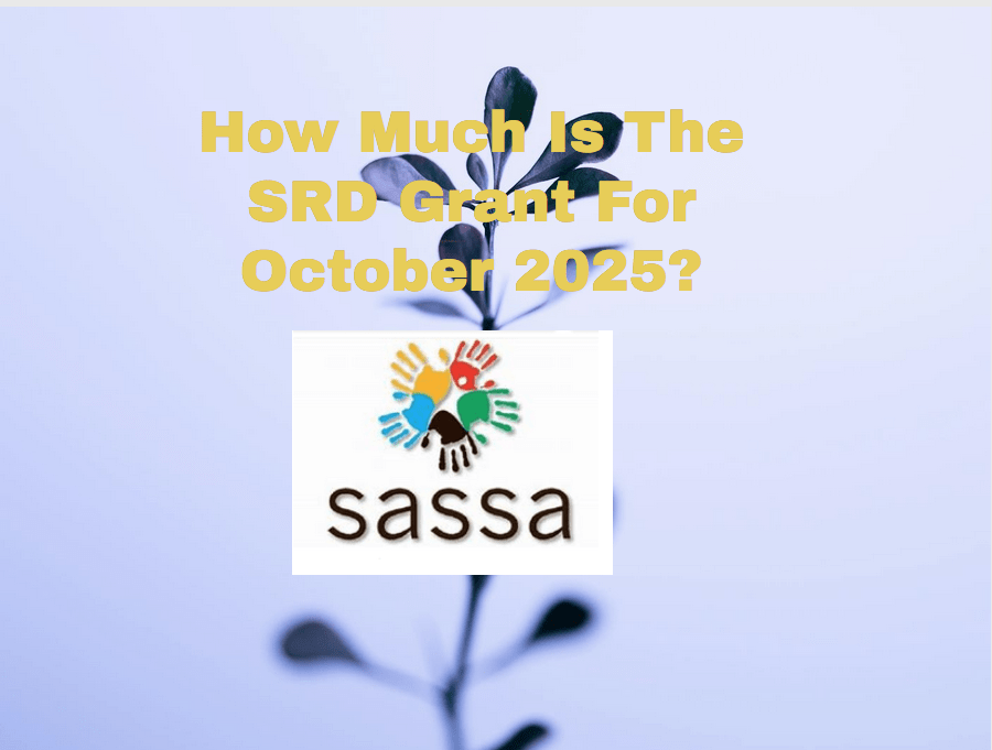 How Much Is The SRD Grant For October 2025? - SASSA Grant 2025