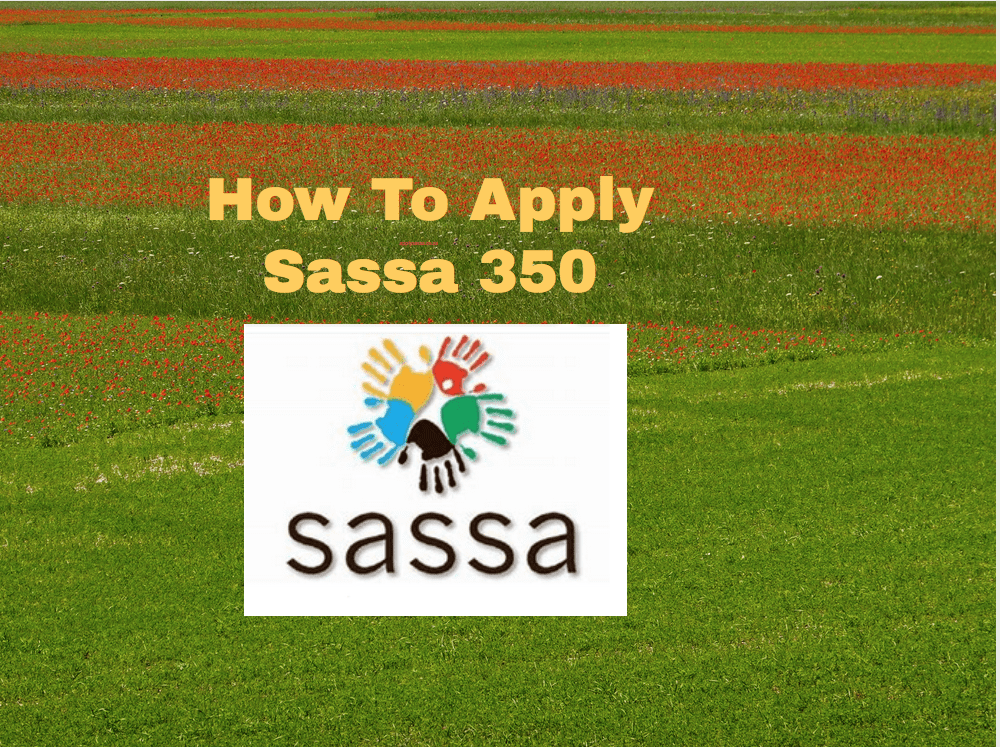 How To Apply Sassa 350 - SASSA Grant 2025