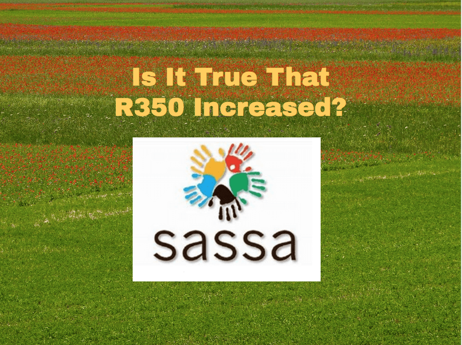 Is It True That R350 Increased? - SASSA Grant 2025